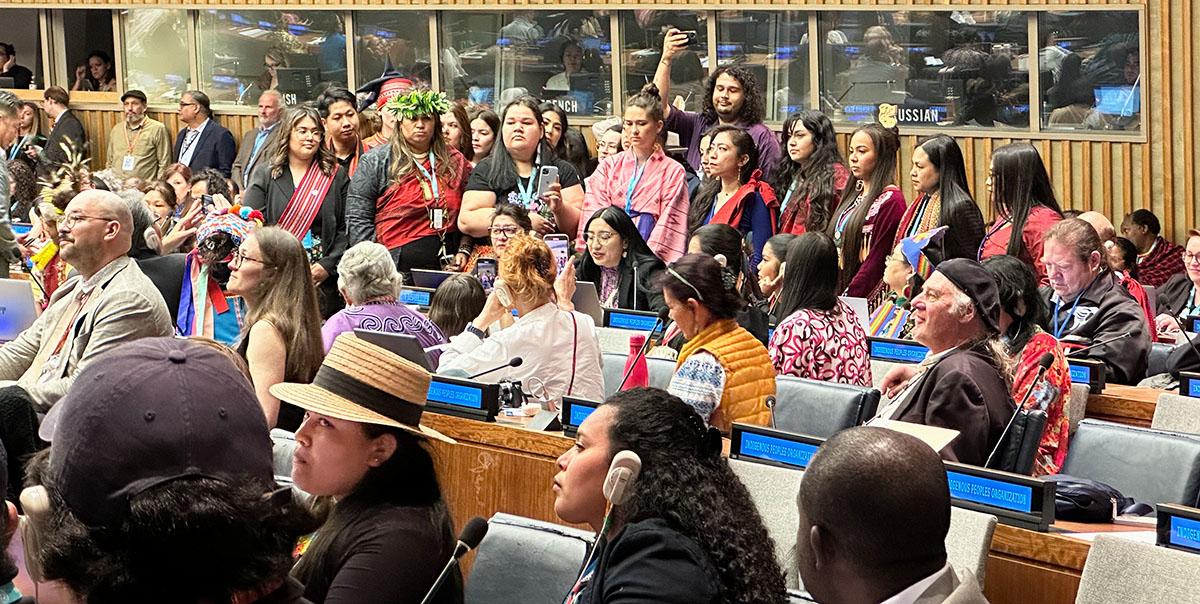 COLT member Tribes attend United Nations Permanent Forum on Indigenous ...